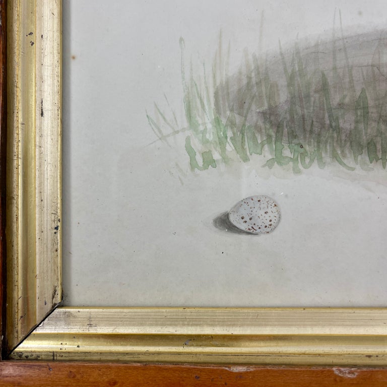 English Regency Period Original Watercolor Fruitwood Frame, a Willow ...