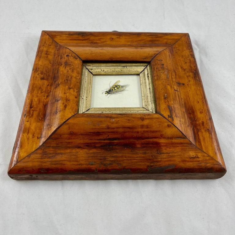 English Regency Period Original Watercolor Fruitwood Frame, a Yellow ...