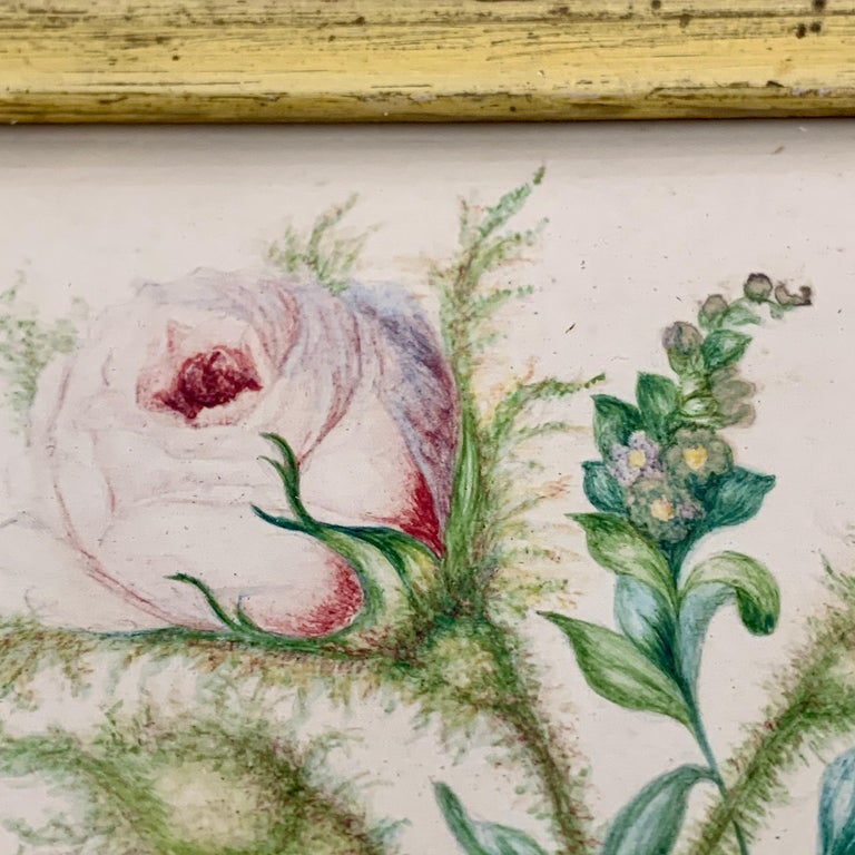 English Regency Period Original Watercolor in Fruitwood Frame, Daisy ...