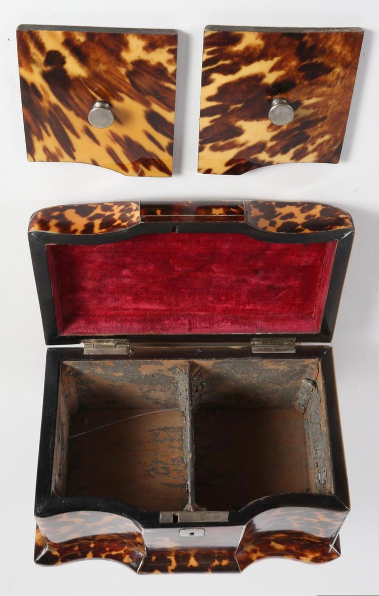English Regency Silver Inlaid Tortoise Shell Double Tea Caddy, 19th ...