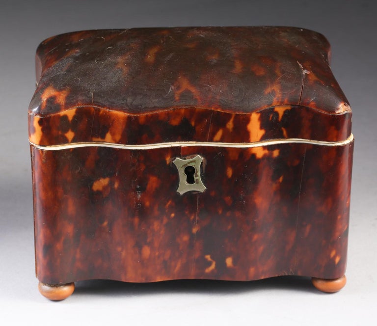 English Regency Tortoise Shell Tea Caddy, 19th Century For Sale at 1stDibs