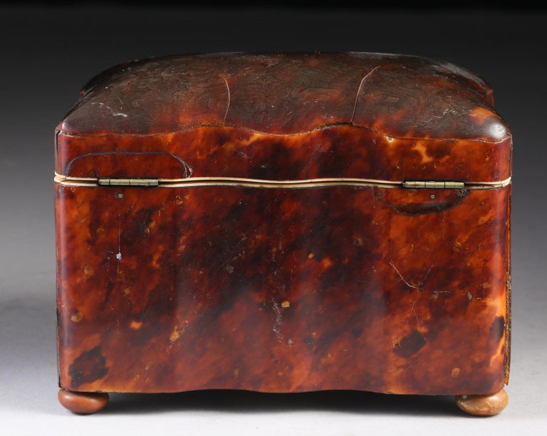 English Regency Tortoise Shell Tea Caddy, 19th Century For Sale at 1stDibs