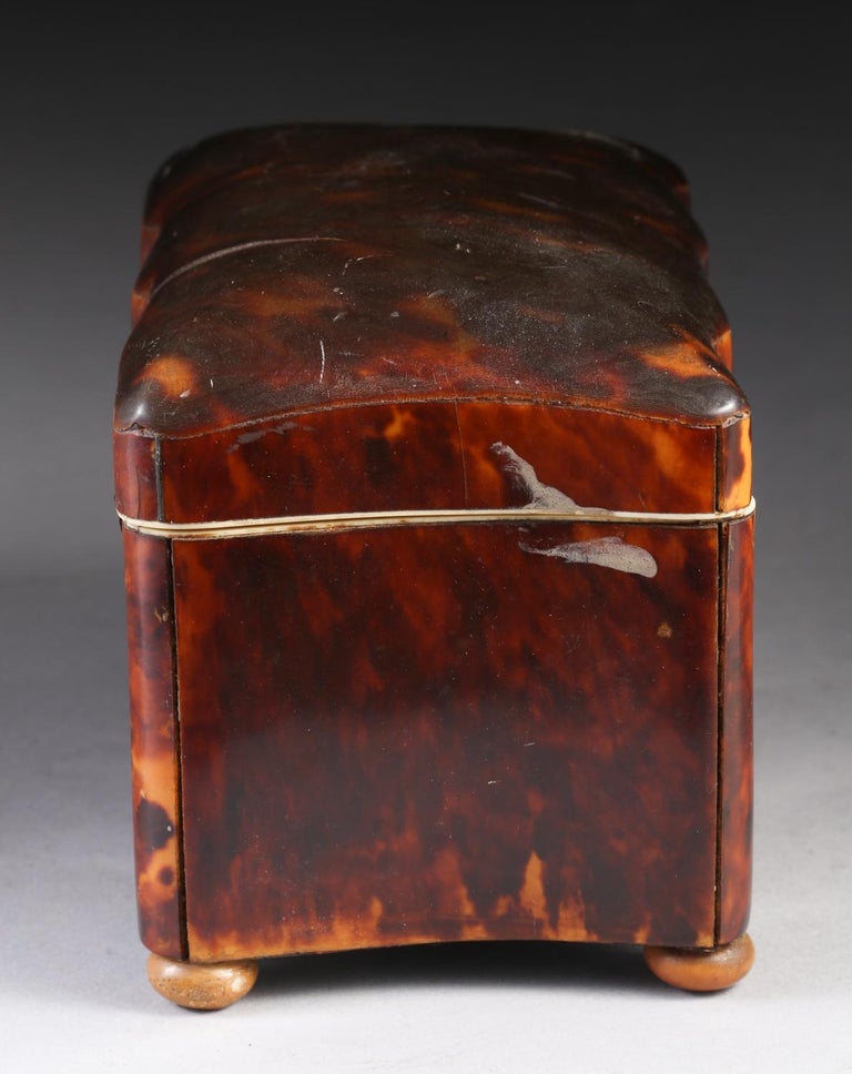 English Regency Tortoise Shell Tea Caddy, 19th Century For Sale at 1stDibs