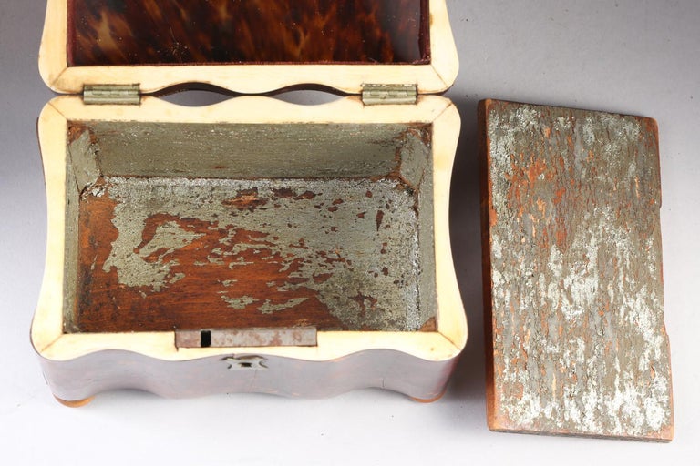 English Regency Tortoise Shell Tea Caddy, 19th Century For Sale at 1stDibs