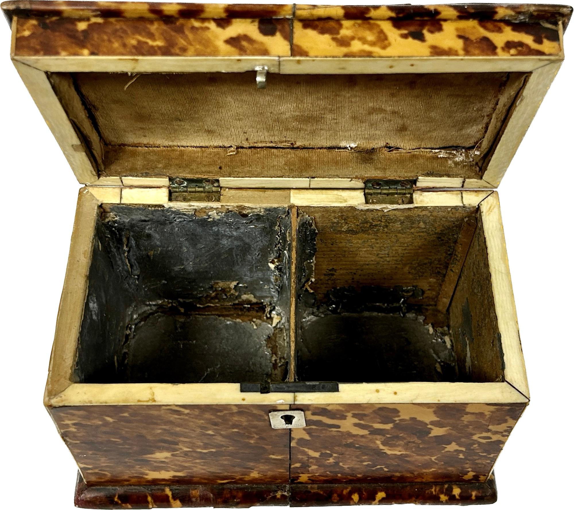 English Regency Tortoise Shell Tea Caddy, 19th Century For Sale at 1stDibs
