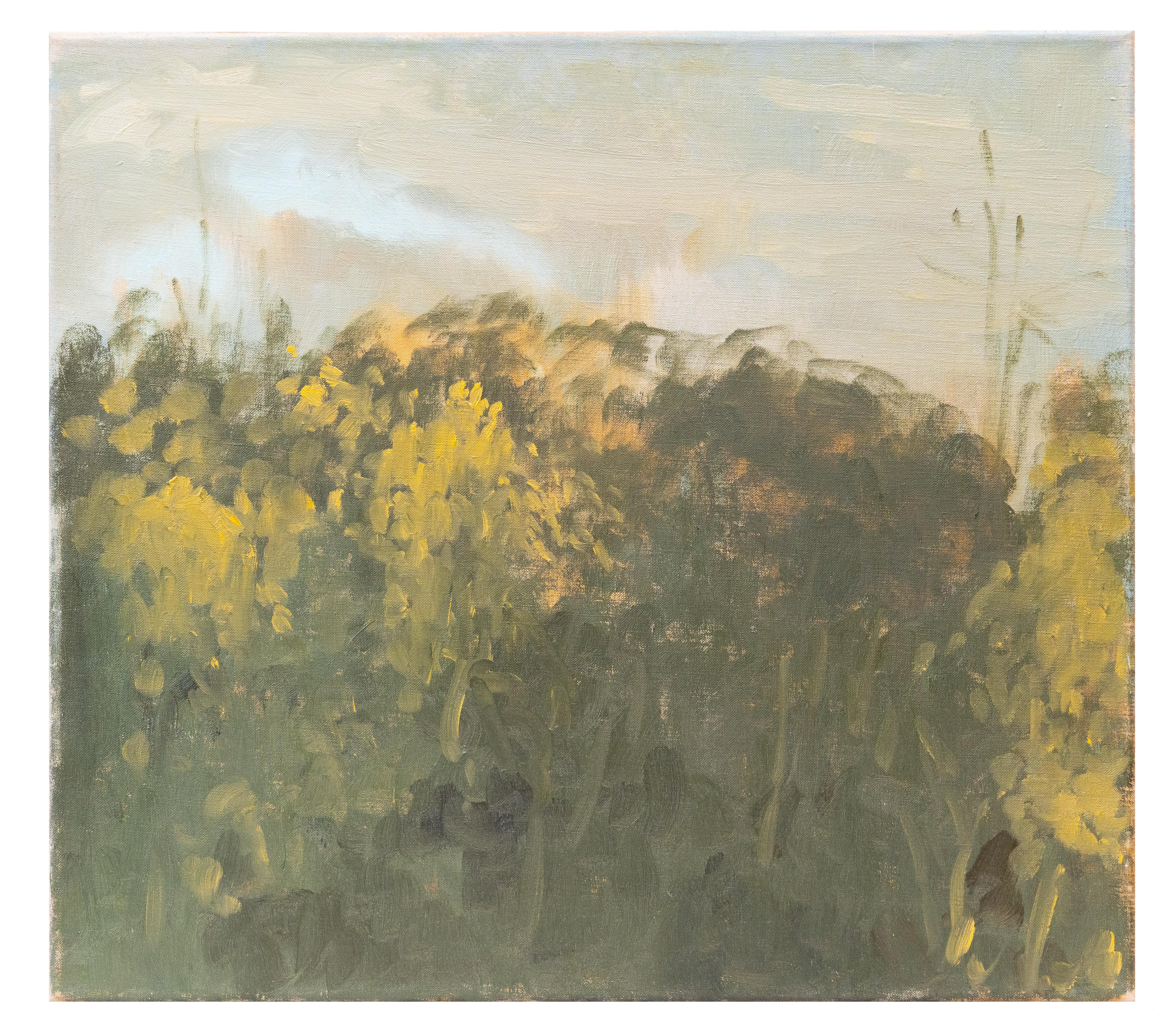 English School - Sketch of trees For Sale at 1stDibs