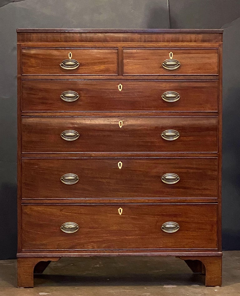 English Tall Chest or High Chest of Drawers of Mahogany at 1stDibs