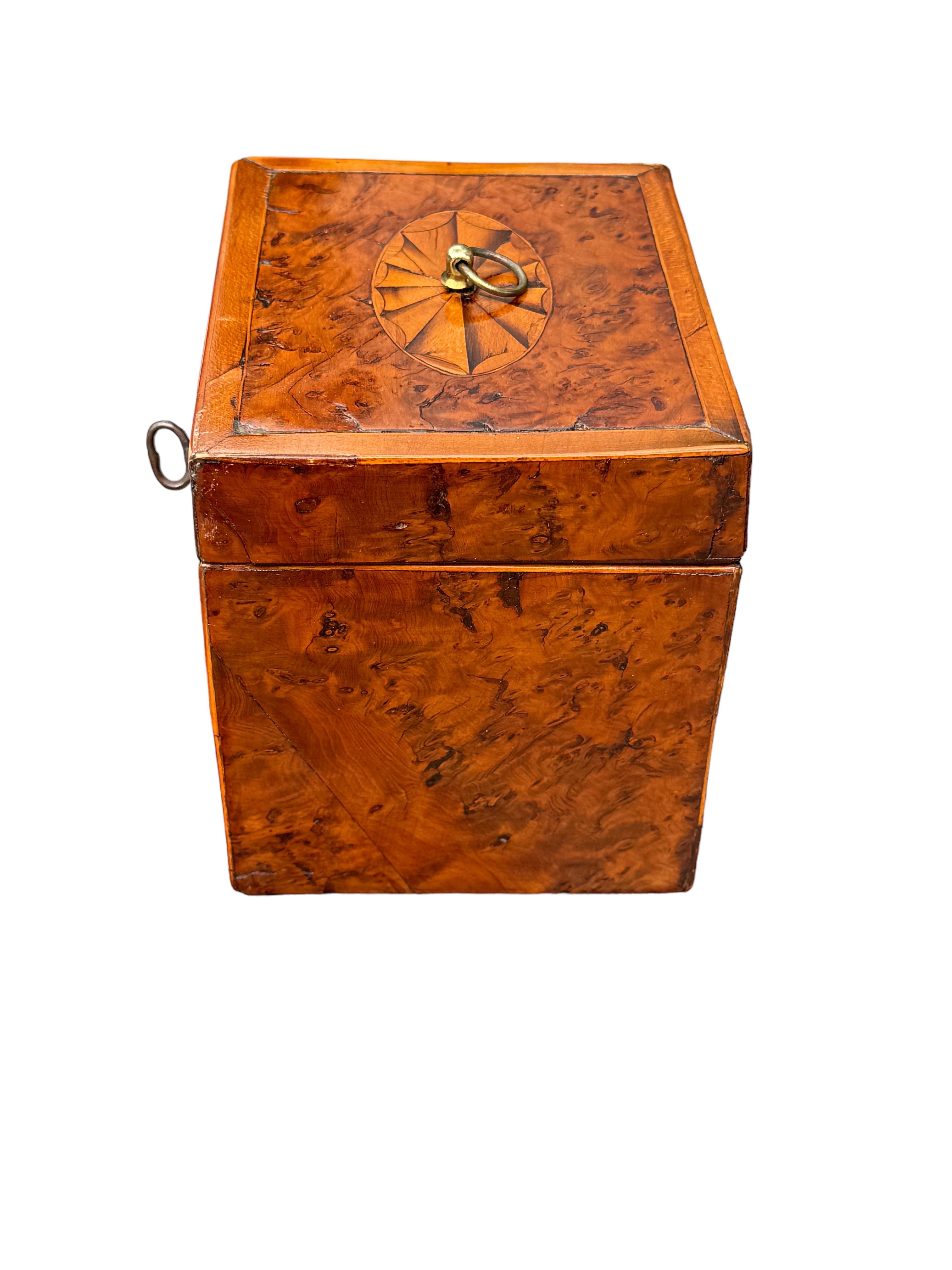 English Tea Caddy For Sale at 1stDibs