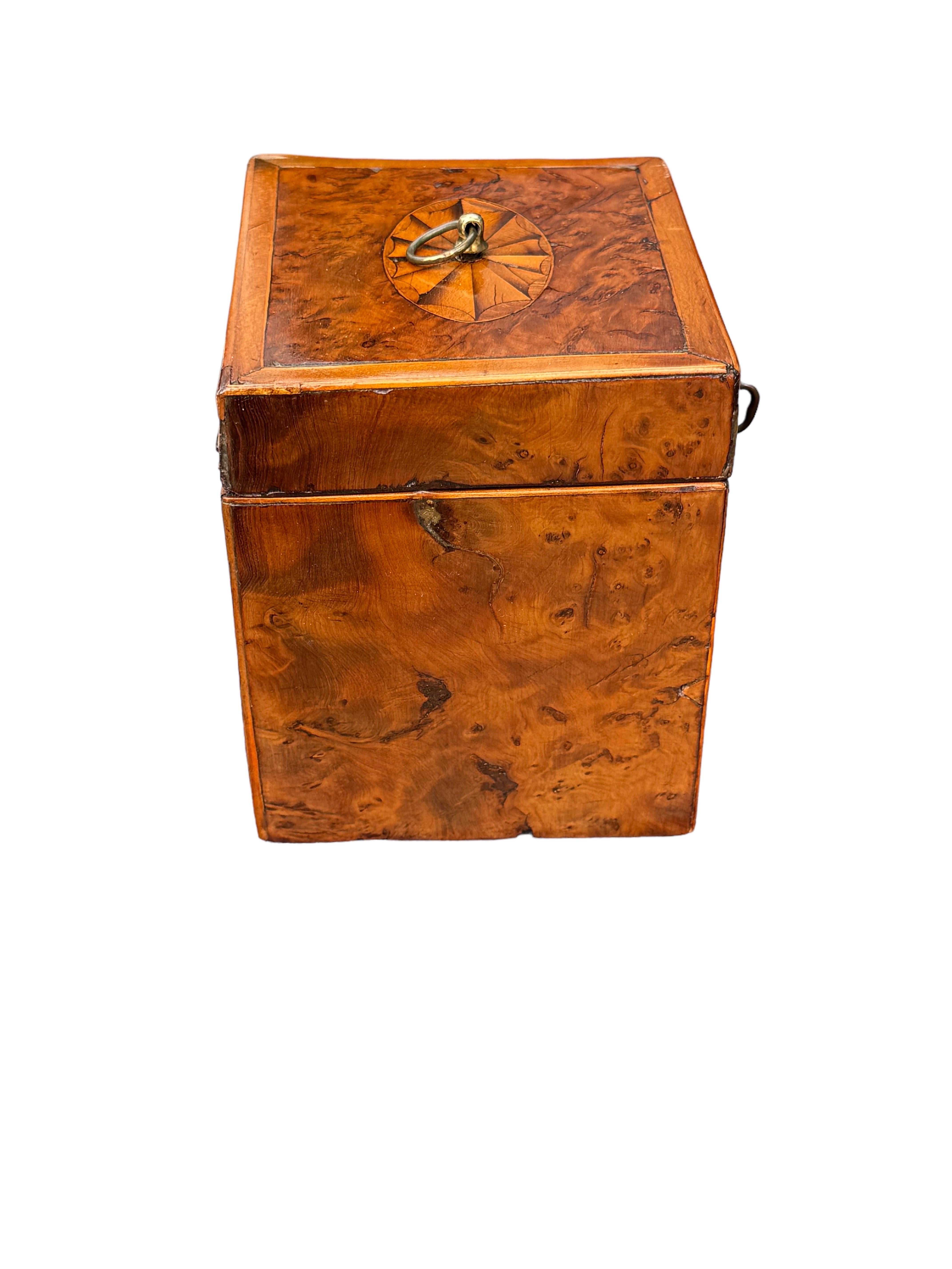 English Tea Caddy For Sale at 1stDibs