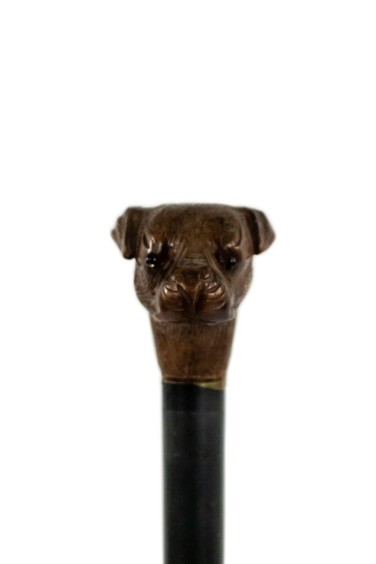 English Victorian Carved Bull Dog Cane with Glass Eyes For Sale at 1stDibs