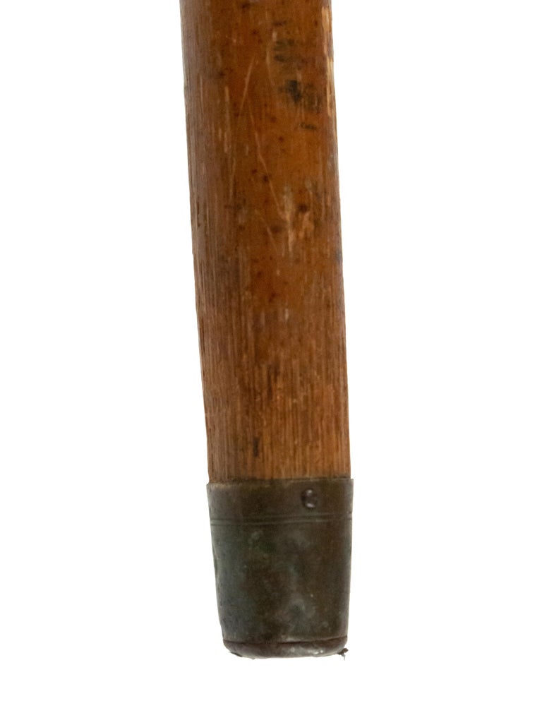 English Victorian Wood and Pewter Cane For Sale at 1stDibs