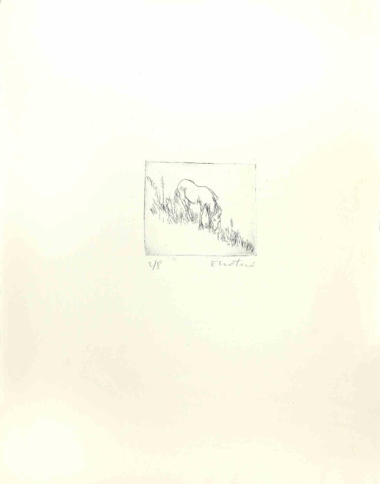 Enotrio Pugliese - Horse - Etching by Enotrio Pugliese - 1970s For Sale ...