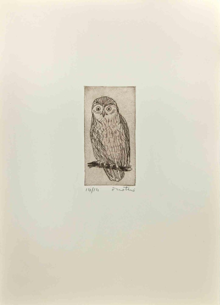 Enotrio Pugliese - Owl - Etching by Enotrio Pugliese - 1963 For Sale at ...