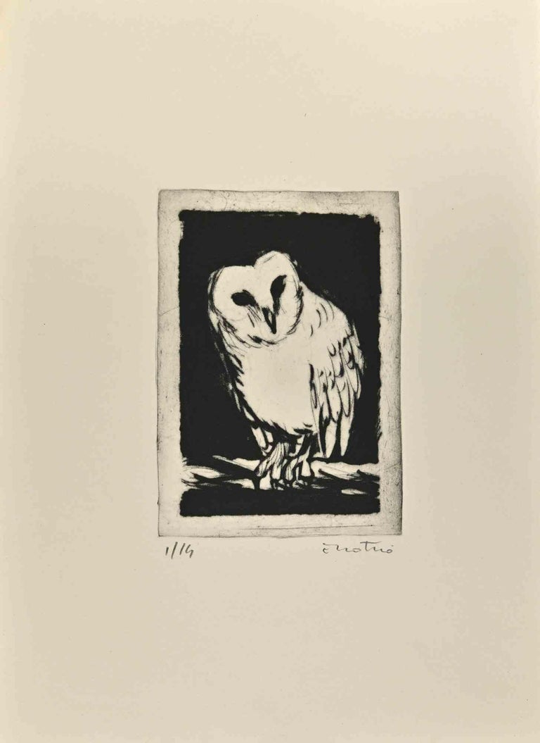 Enotrio Pugliese - Owl - Etching by Enotrio Pugliese - 1963 For Sale at ...