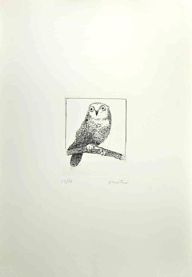 Enotrio Pugliese - Owl - Etching by Enotrio Pugliese - 1970s For Sale ...