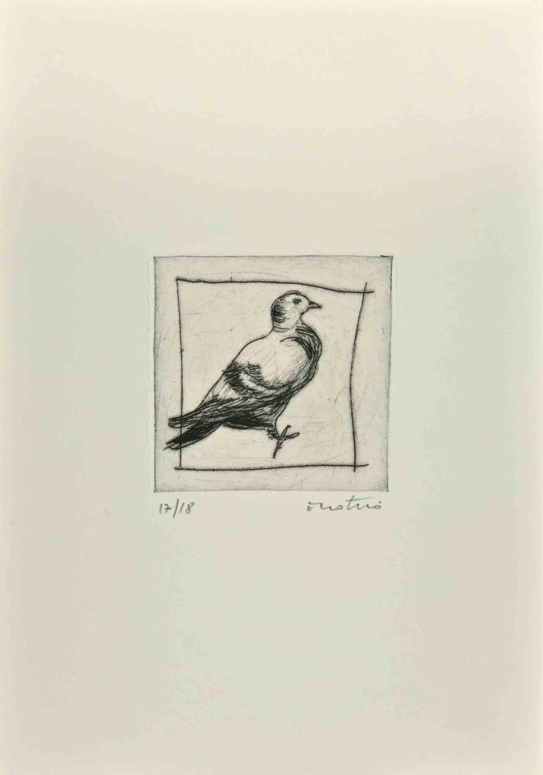 Enotrio Pugliese - Pigeon - Etching by Enotrio Pugliese - 1963 For Sale ...