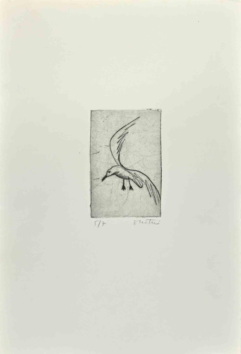Enotrio Pugliese - Seagull - Etching by Enotrio Pugliese - 1963 For ...