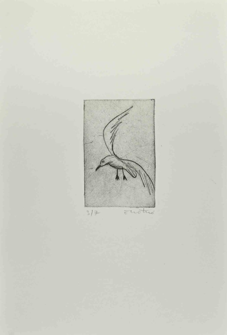 Enotrio Pugliese - Seagull - Etching by Enotrio Pugliese - 1963 For ...