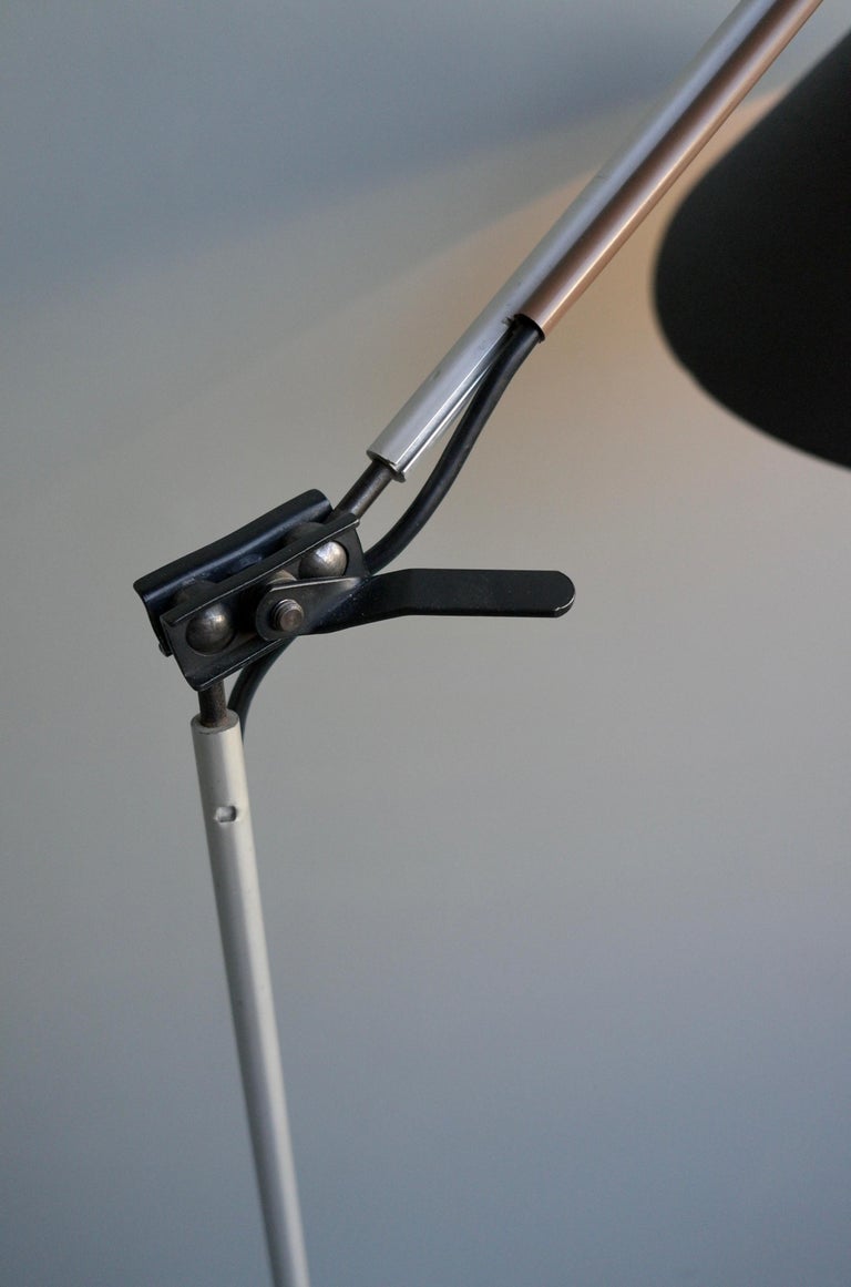 Enzo Mari Adjustable Floor Lamp "Aggregato" with Anthracite Shade ...