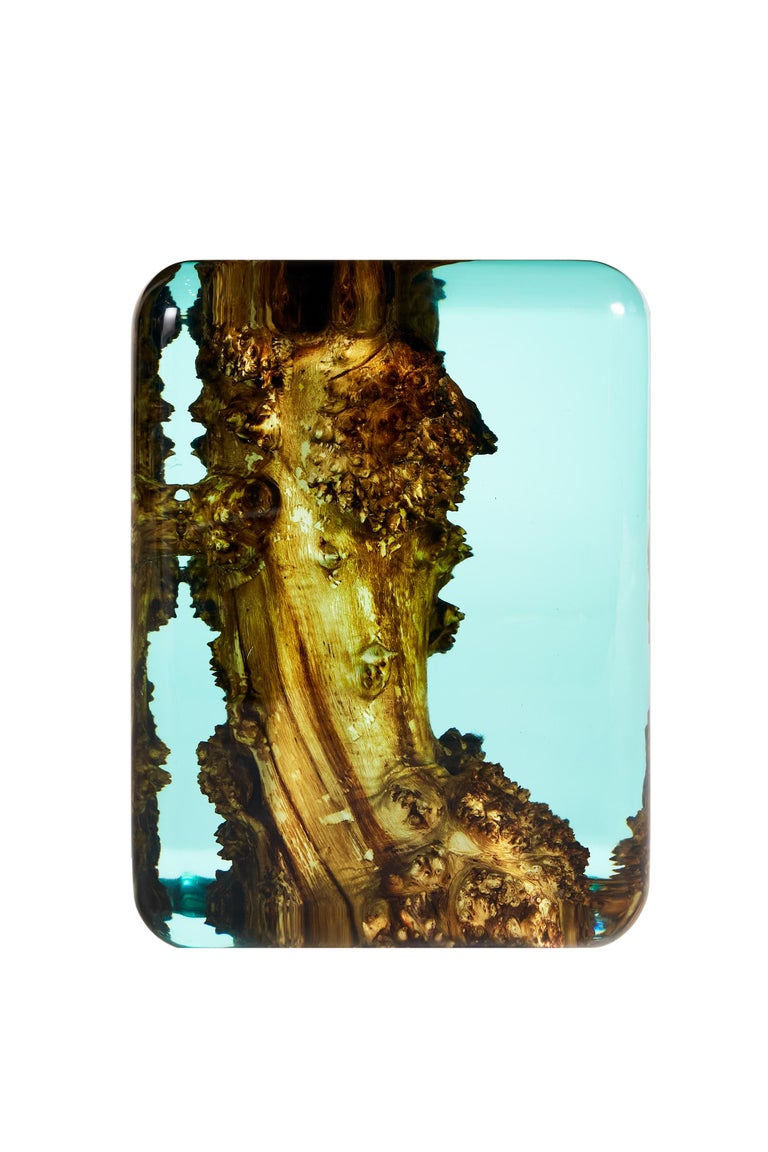 Epoxy Resin Stool, Walnut Stump Stool, Ready to Ship For Sale at 1stDibs