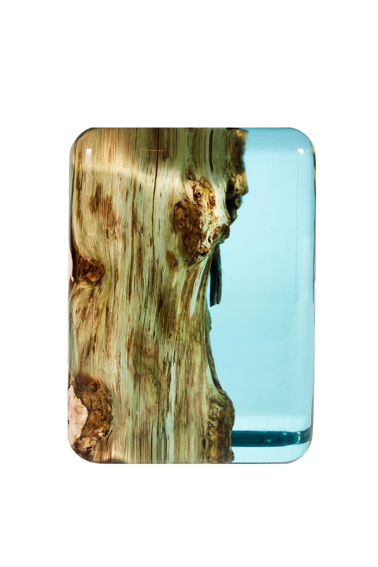 Epoxy Resin Stool, Walnut Stump Stool, Ready to Ship For Sale at ...