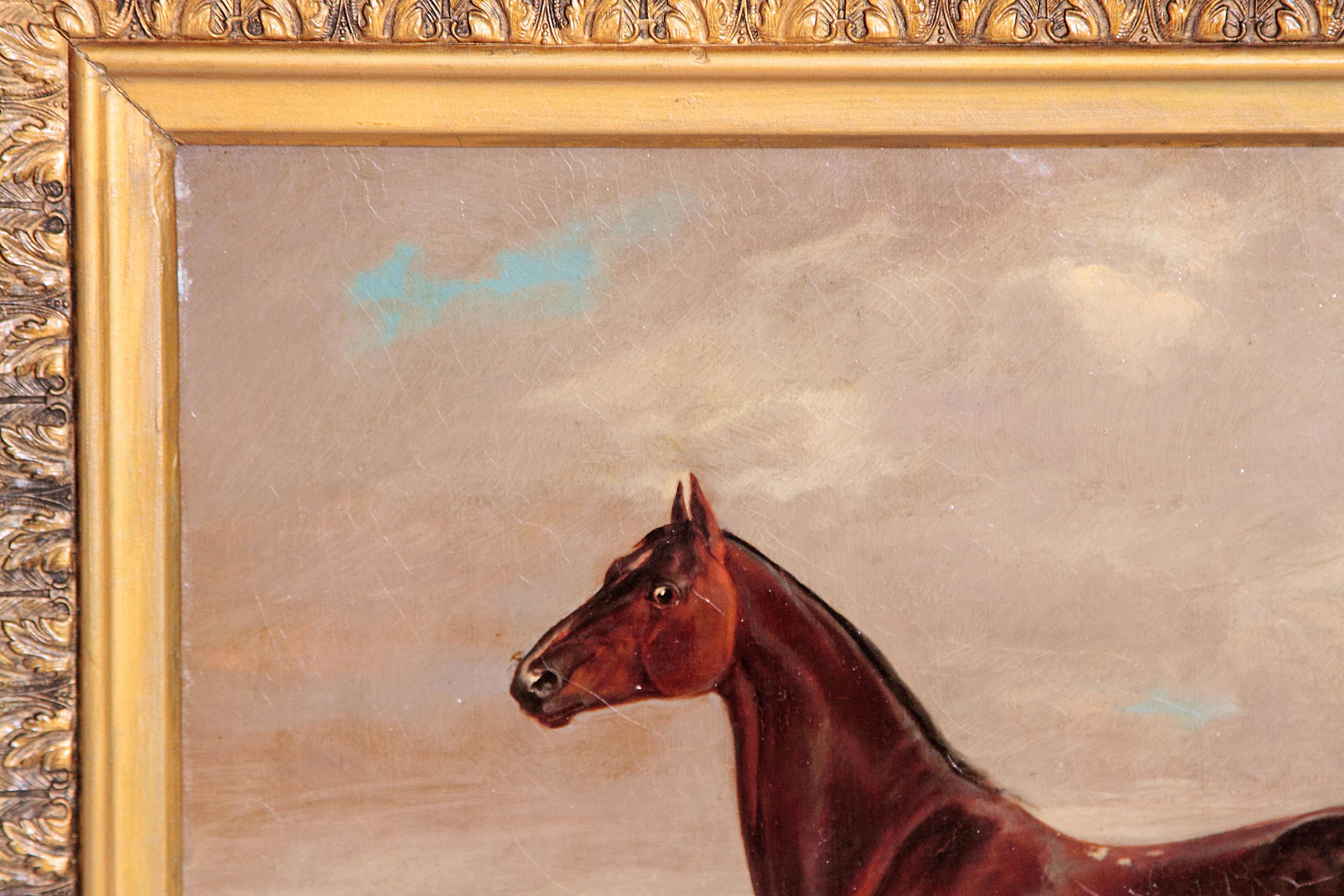 Equine Portrait by German Artist Albert Richter at 1stDibs | albert ...