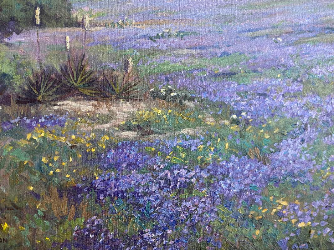 Eric Harrison - "VERBENA SPRING" TEXAS HILL COUNTRY WILDFLOWERS ...