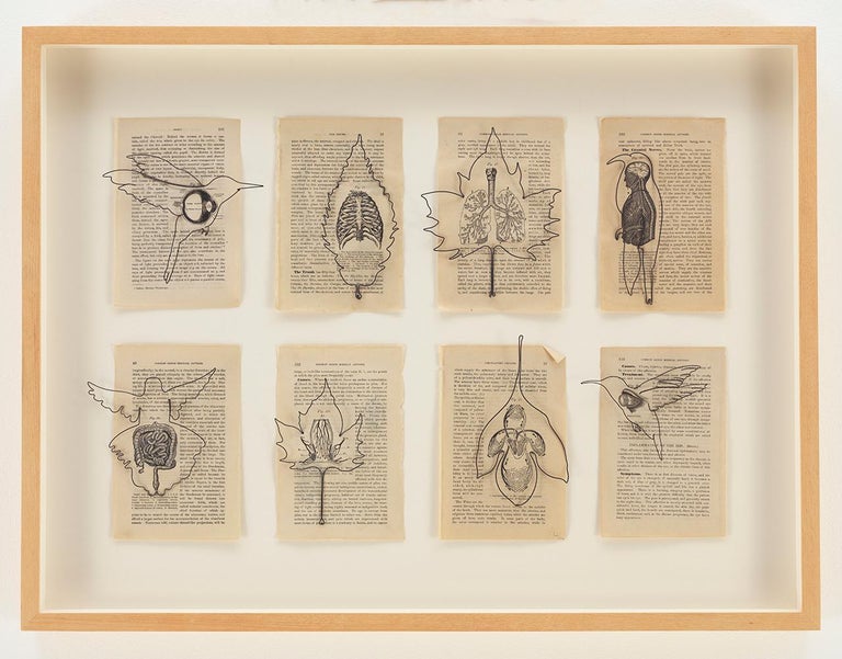 Eric Rhein - Medicine Simplified For Sale at 1stDibs