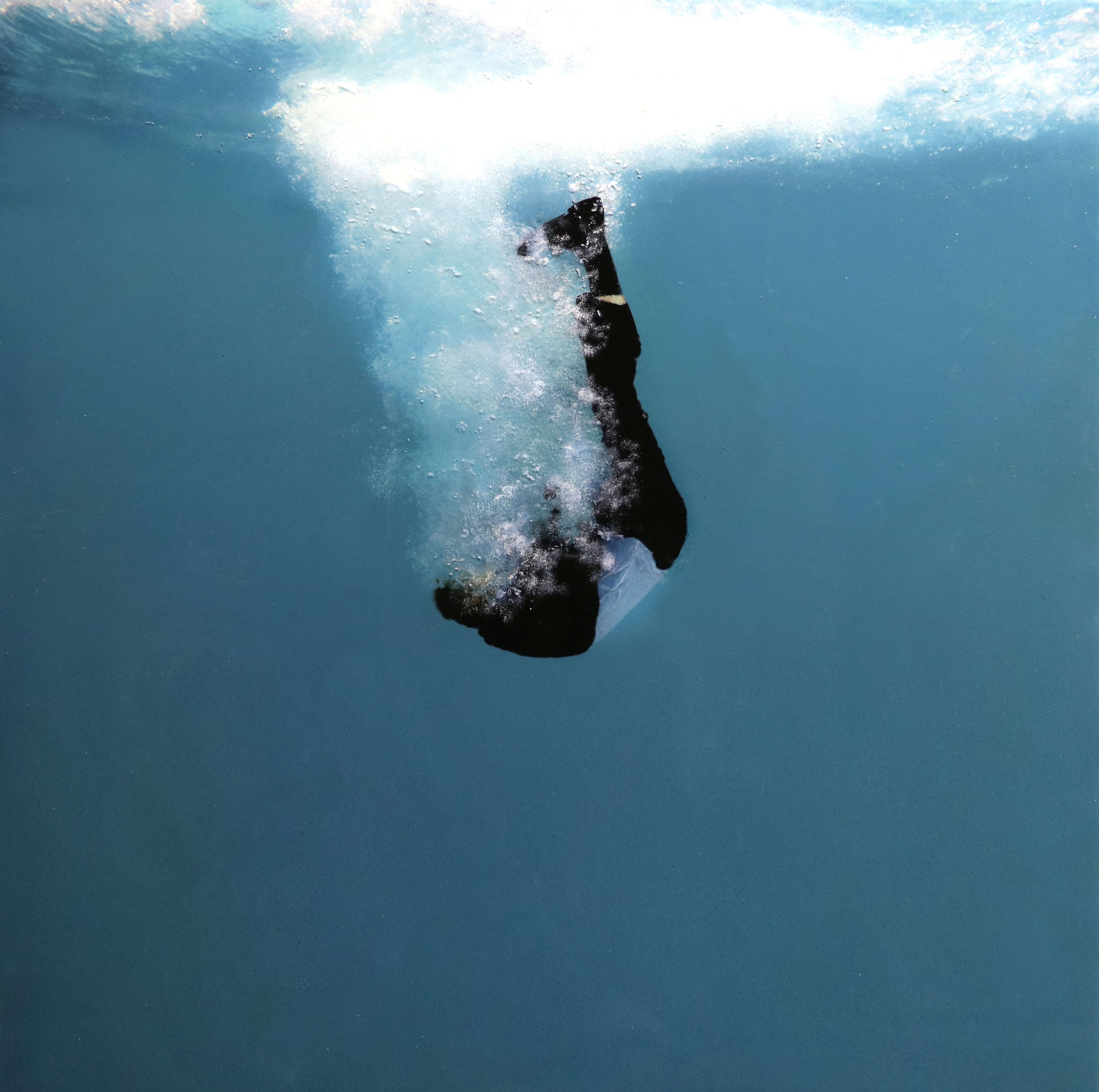 Eric Zener - BACK TO THE SURFACE, woman swimming underwater, photo ...