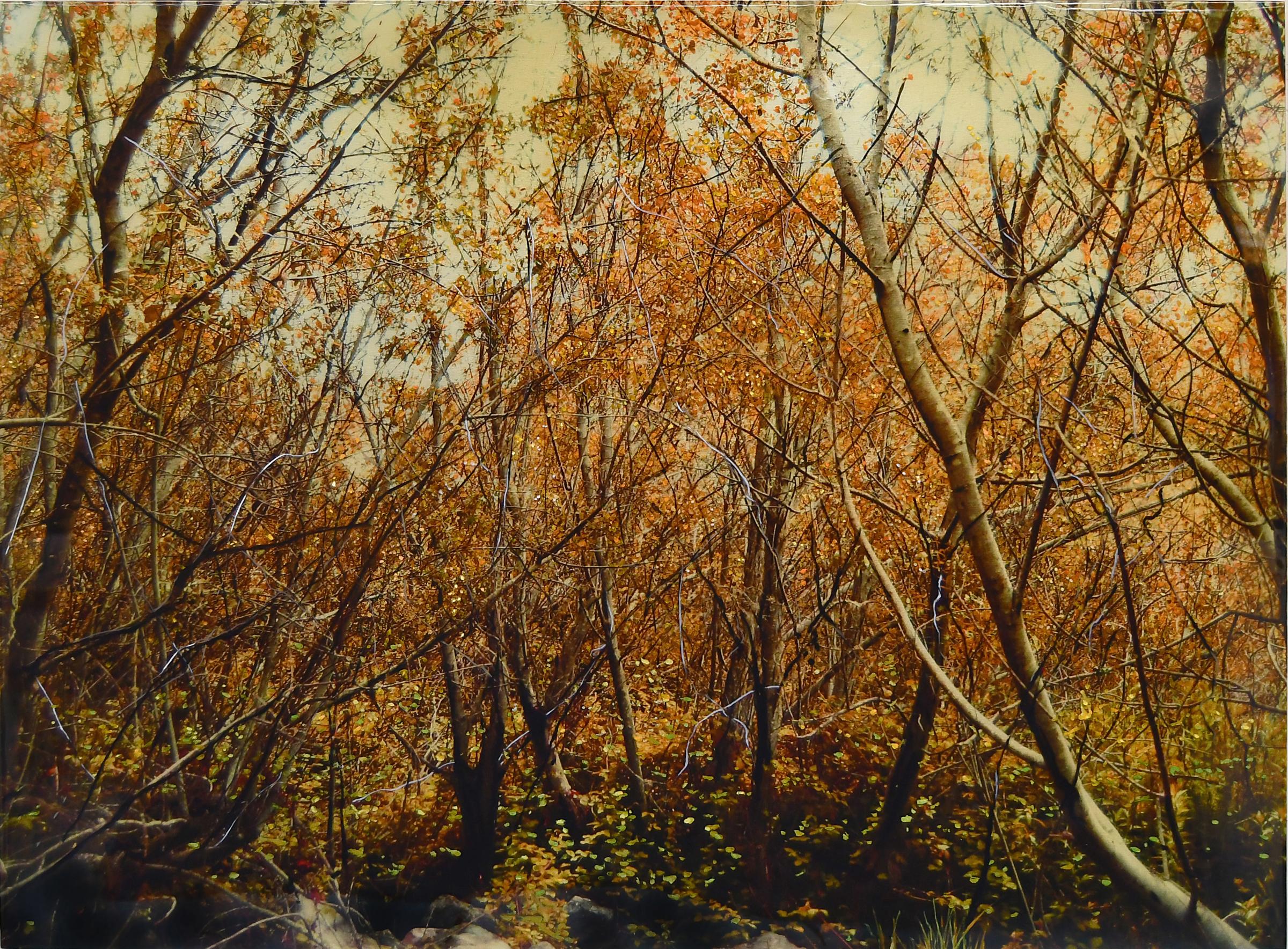 Eric Zener - Thin Line Study II at 1stDibs