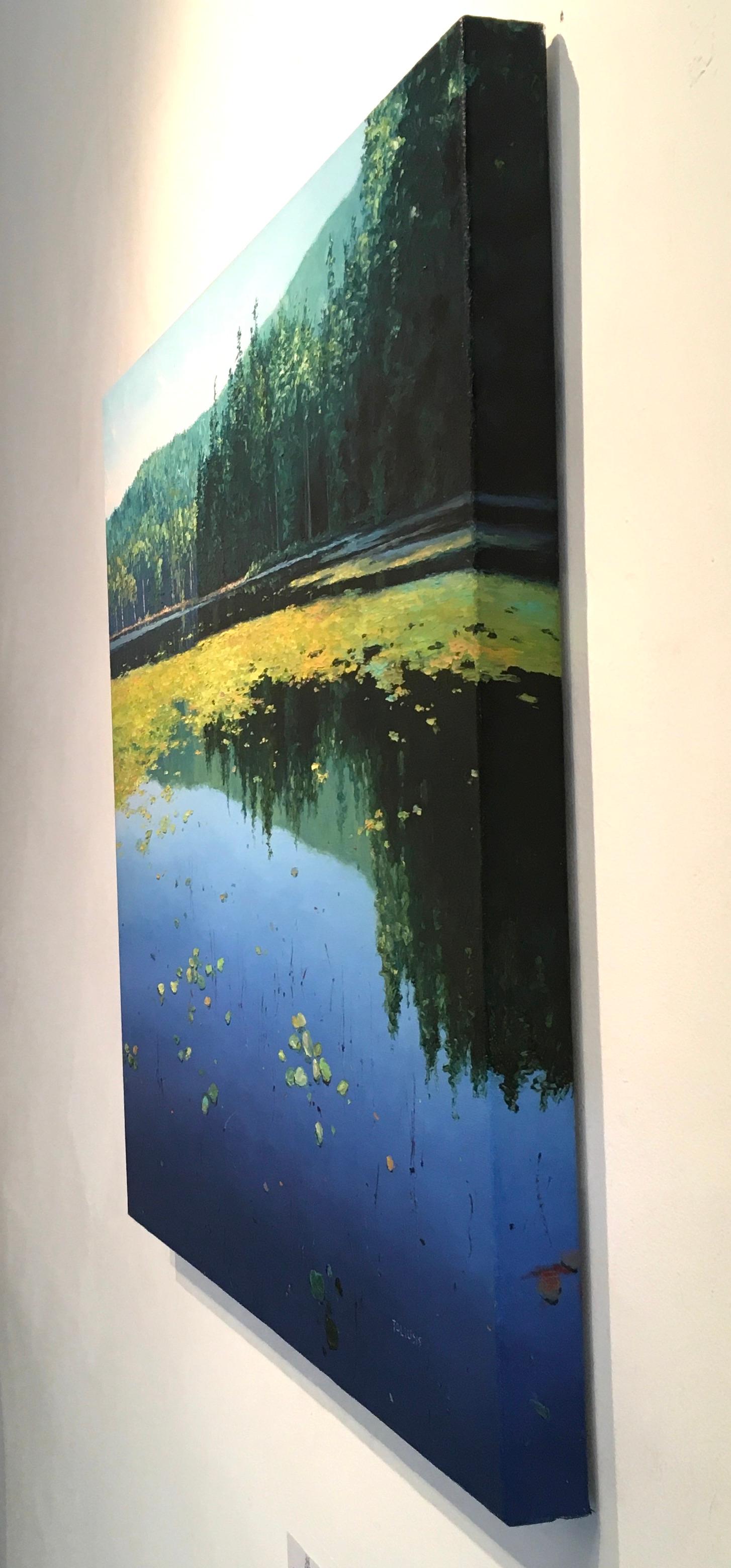 Erika Toliusis - Bowen Lake Canada - modern nature hyperrealism ...