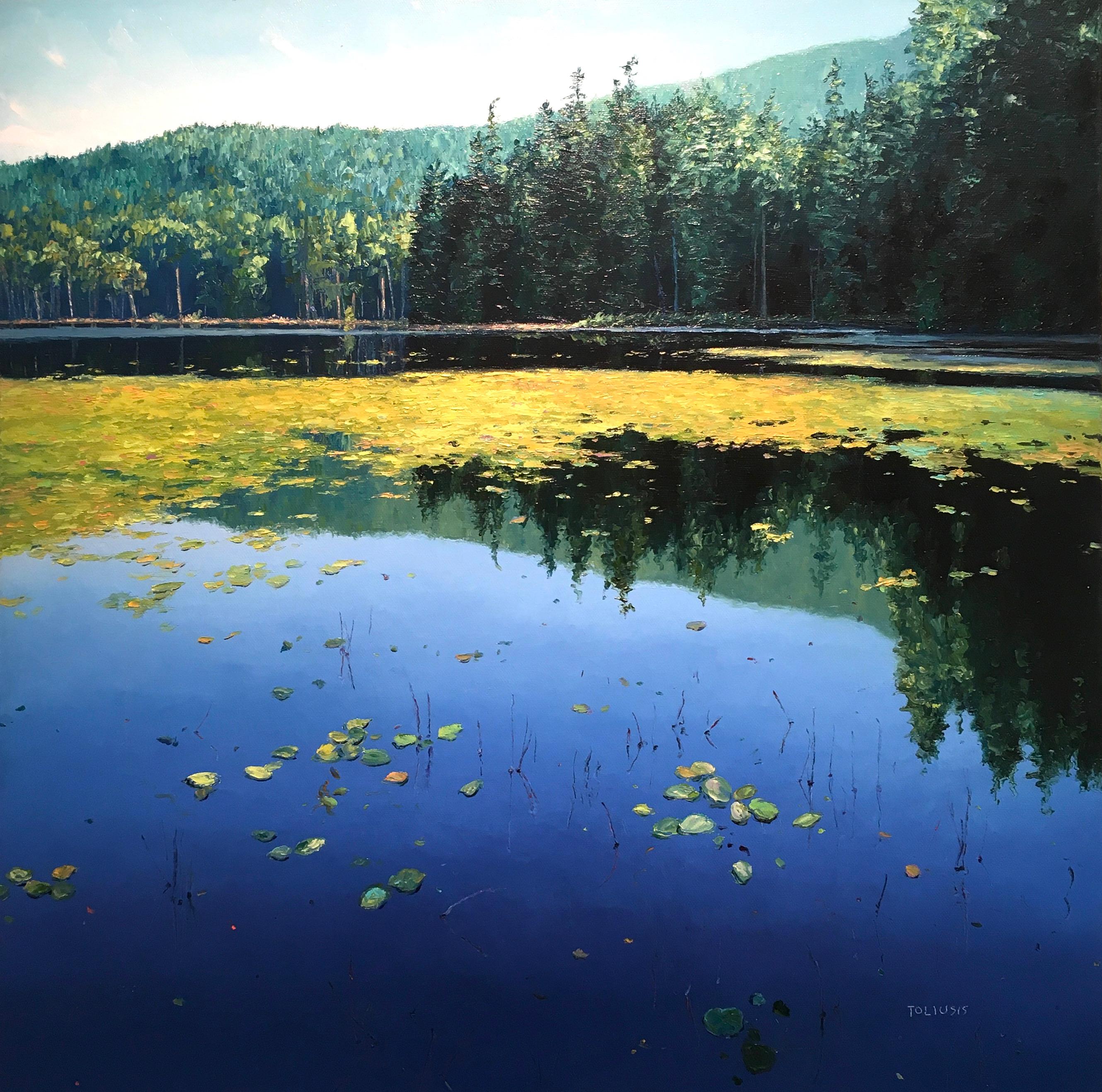 Erika Toliusis - Bowen Lake Canada - modern nature hyperrealism ...