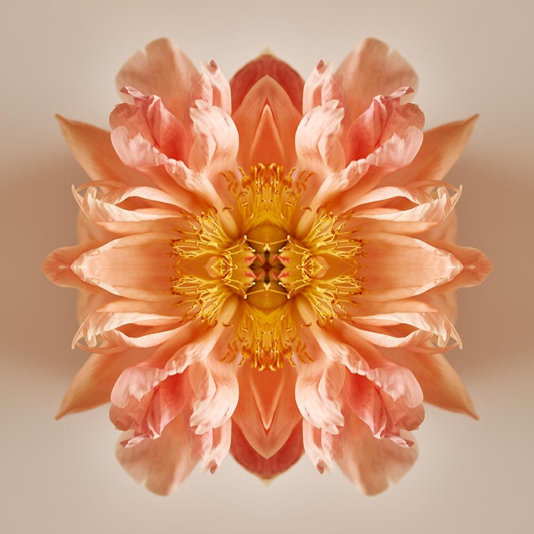 Erin Derby - No. 16 at 1stDibs