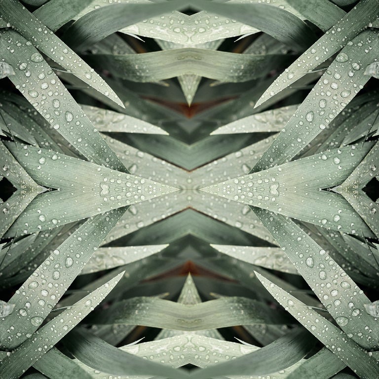 Erin Derby - No. 113 Collage 2 - Edition 2 of 50 For Sale at 1stDibs