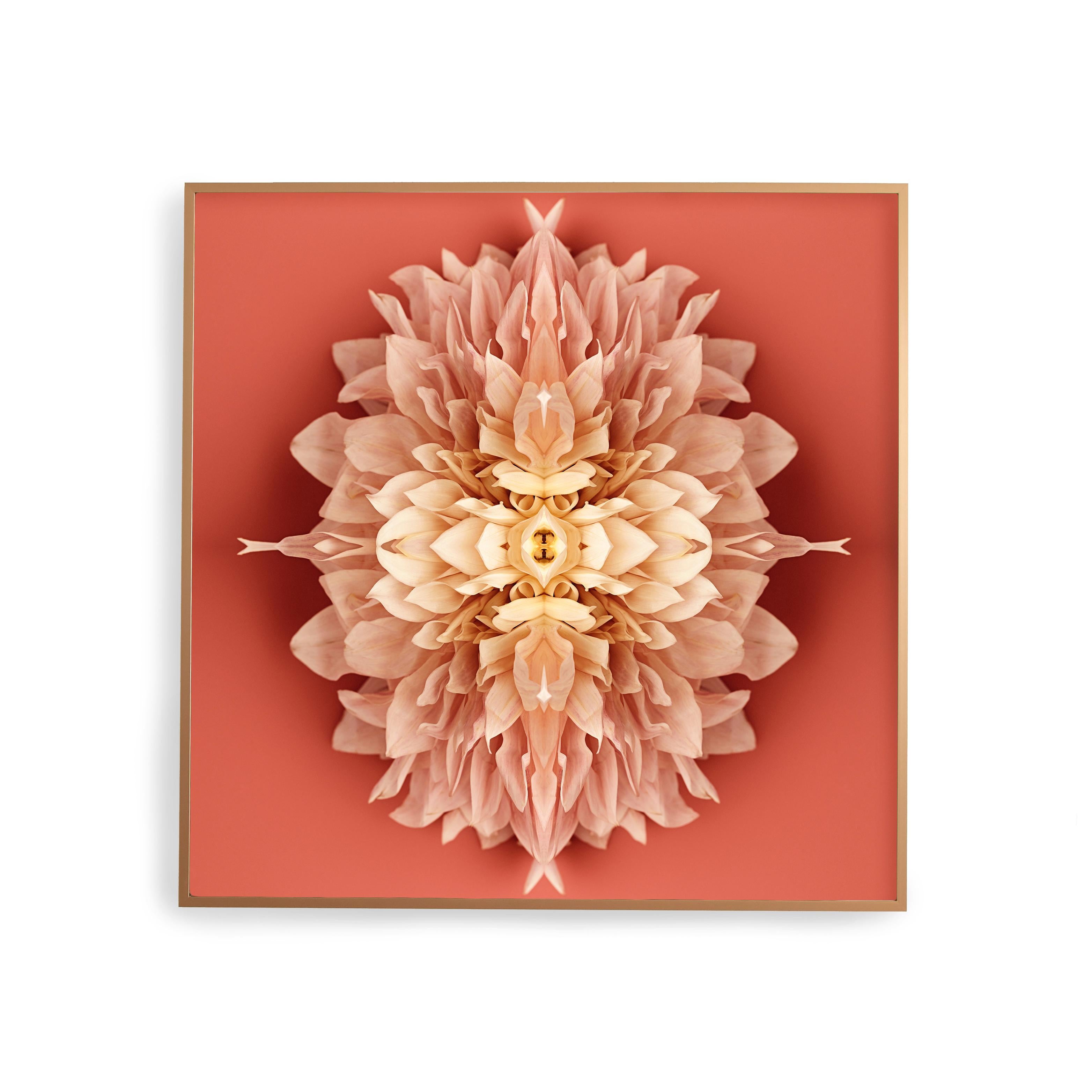 Erin Derby - No. 127 at 1stDibs | erin derby