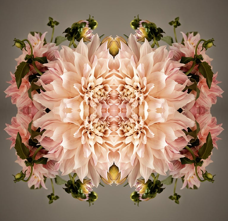 Erin Derby - No. 128 For Sale at 1stDibs
