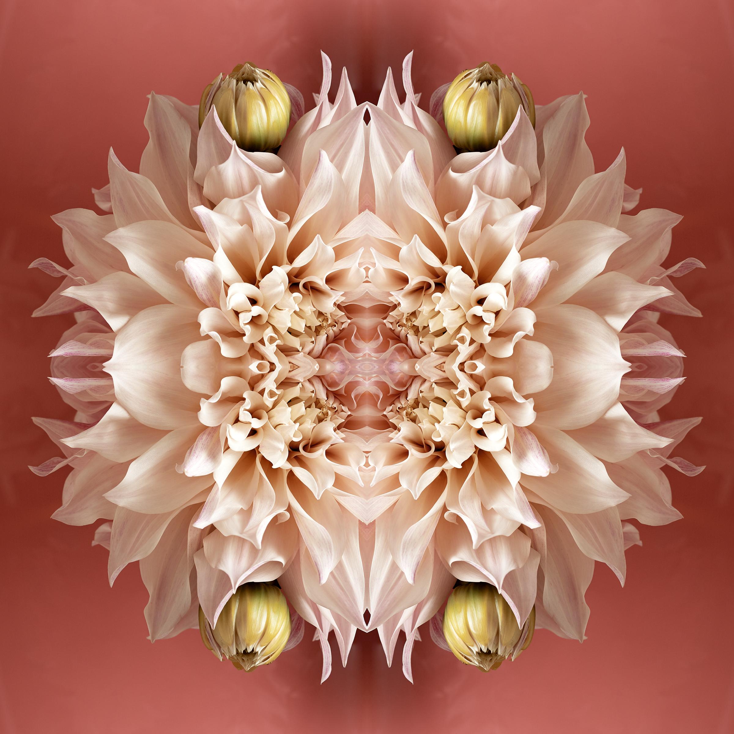 Erin Derby - No. 127 at 1stDibs
