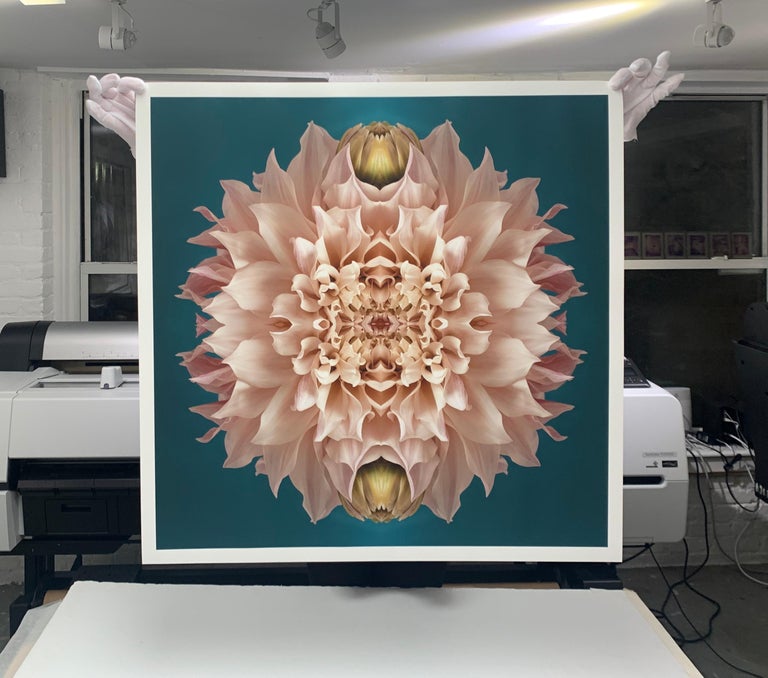 Erin Derby - No. 131 at 1stDibs