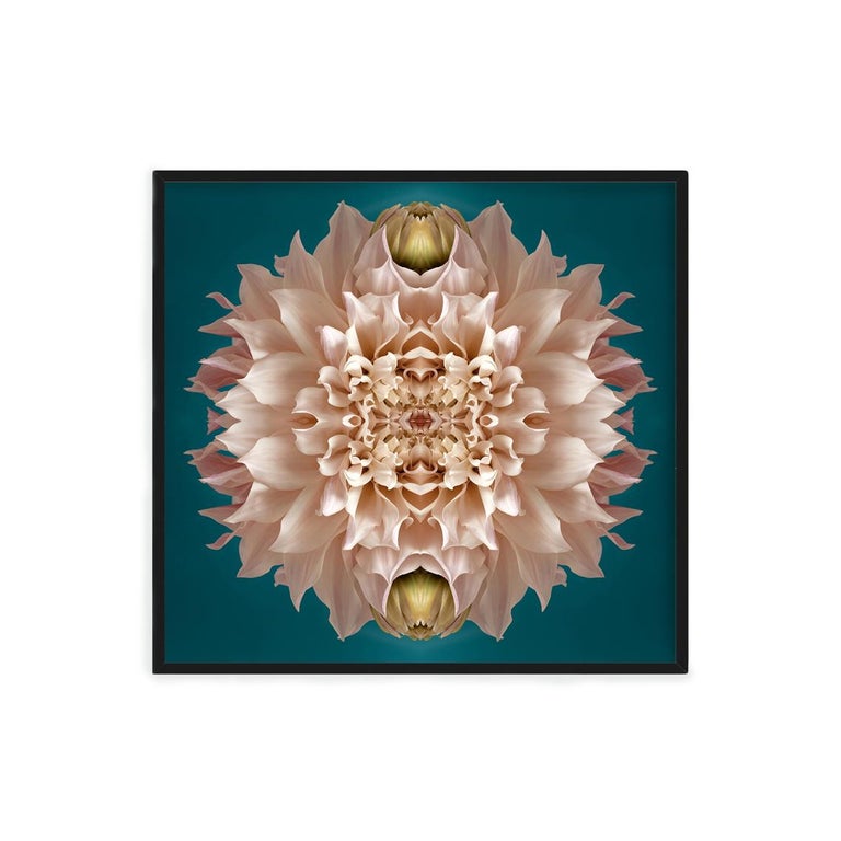 Erin Derby - No. 131 at 1stDibs