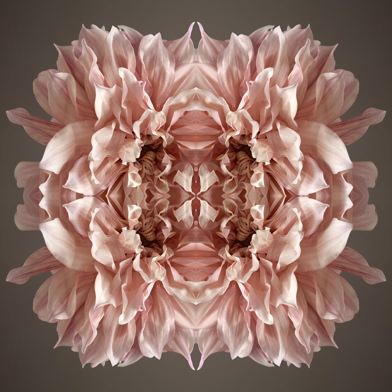Erin Derby - No. 132 For Sale at 1stDibs