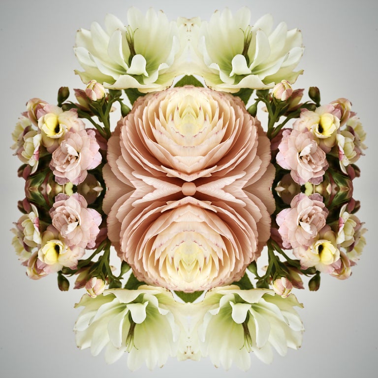 Erin Derby - No. 201 For Sale at 1stDibs