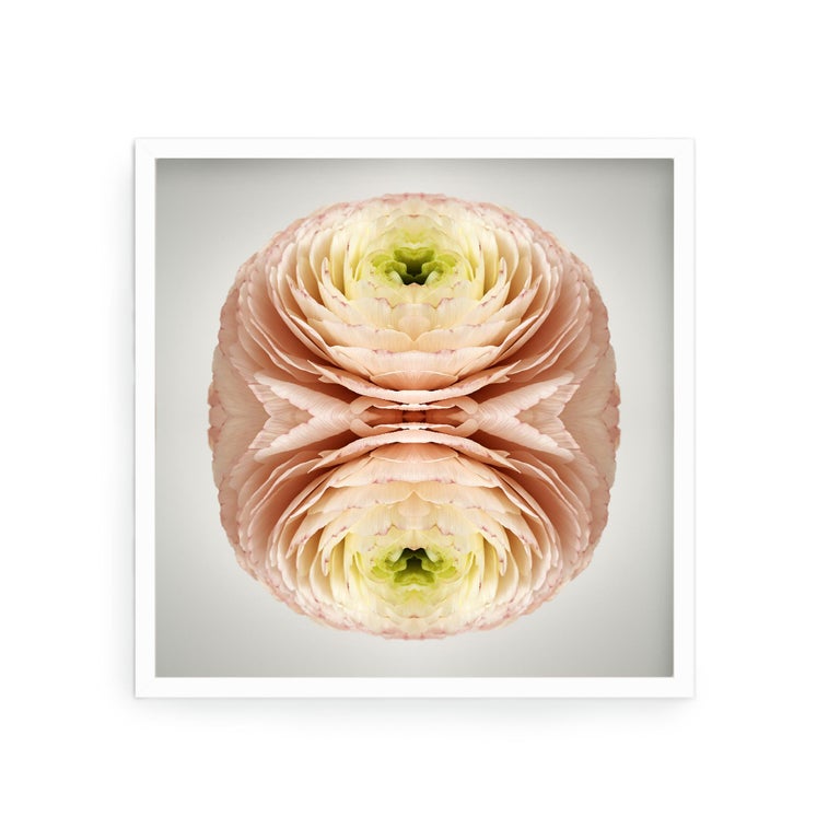 Erin Derby - No. 203 - Edition 2 of 50 For Sale at 1stDibs