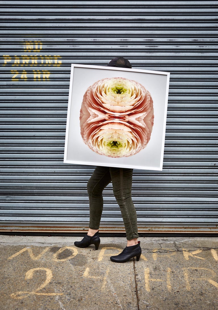 Erin Derby - No. 203 - Edition 2 of 50 For Sale at 1stDibs