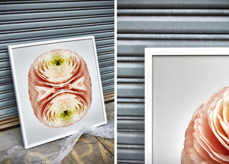 Erin Derby - No. 203 - Edition 2 of 50 For Sale at 1stDibs