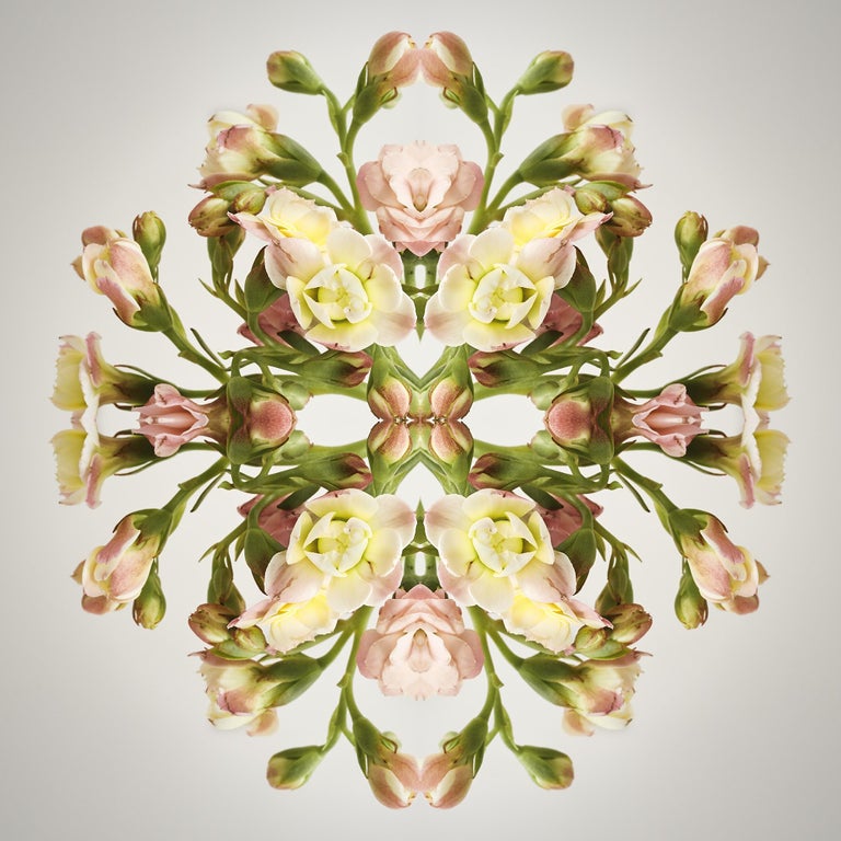 Erin Derby - No. 208 For Sale at 1stDibs