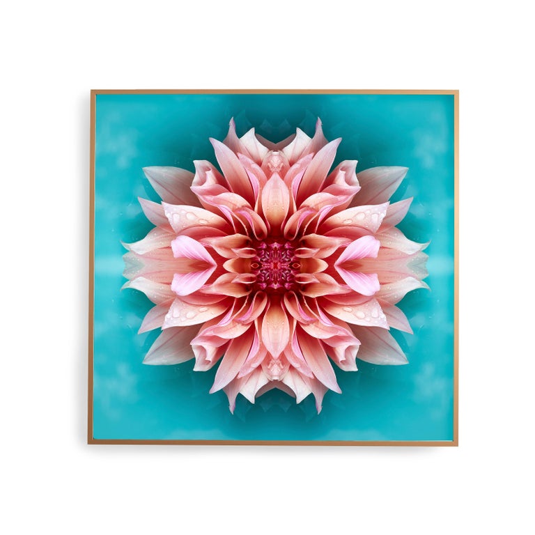 Erin Derby - No. 242 For Sale at 1stDibs