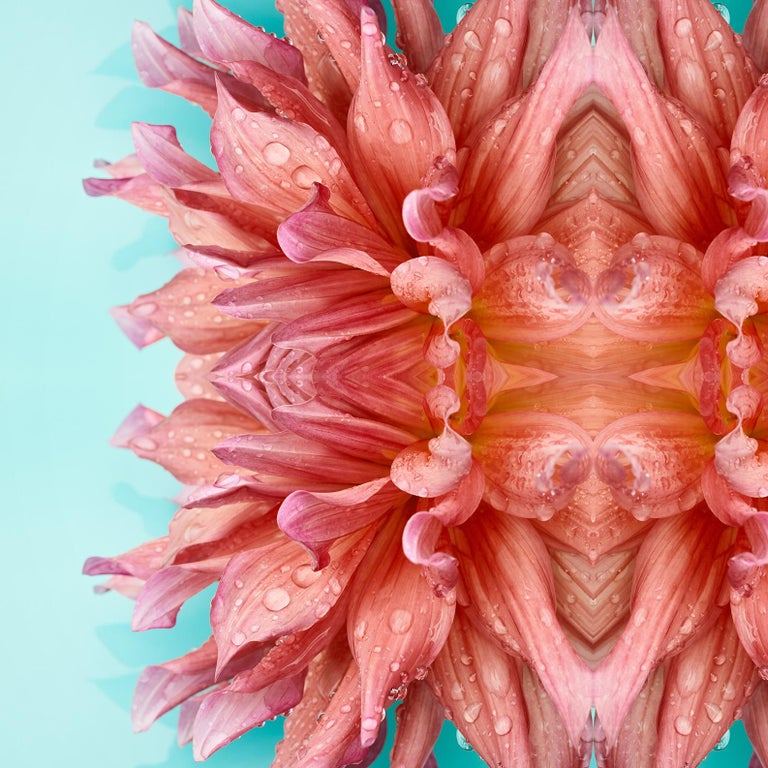 Erin Derby - No. 254 For Sale at 1stDibs