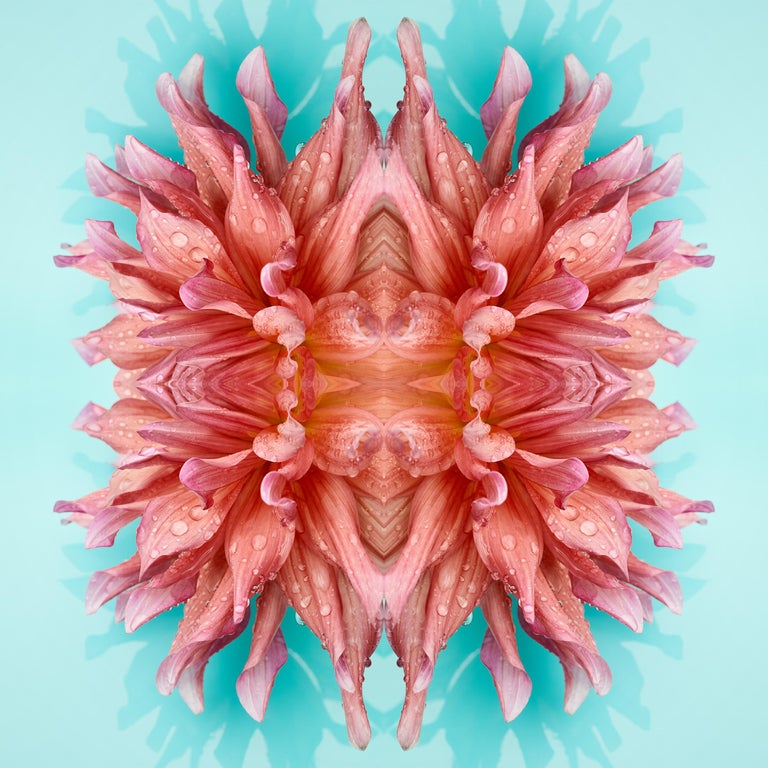 Erin Derby - No. 254 For Sale at 1stDibs