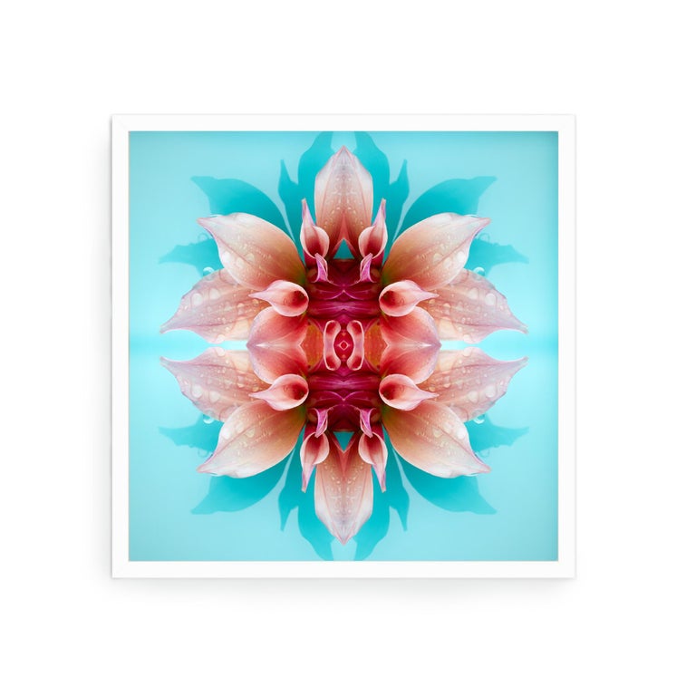 Erin Derby - No. 263 For Sale at 1stDibs