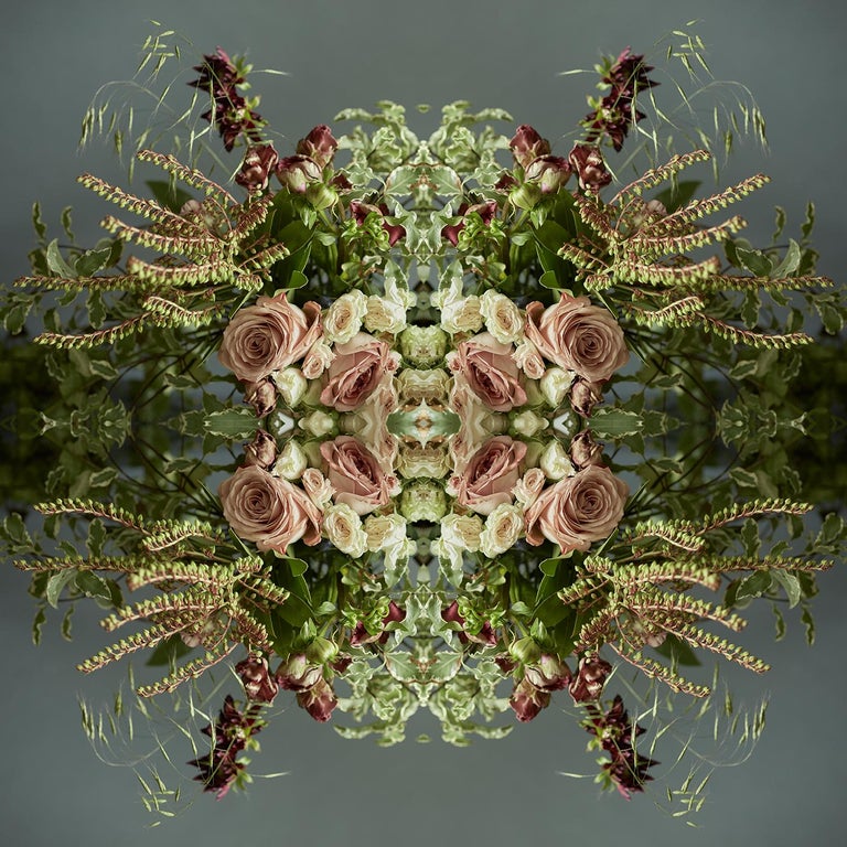 Erin Derby - No. 27 - Edition 3 of 50 For Sale at 1stDibs